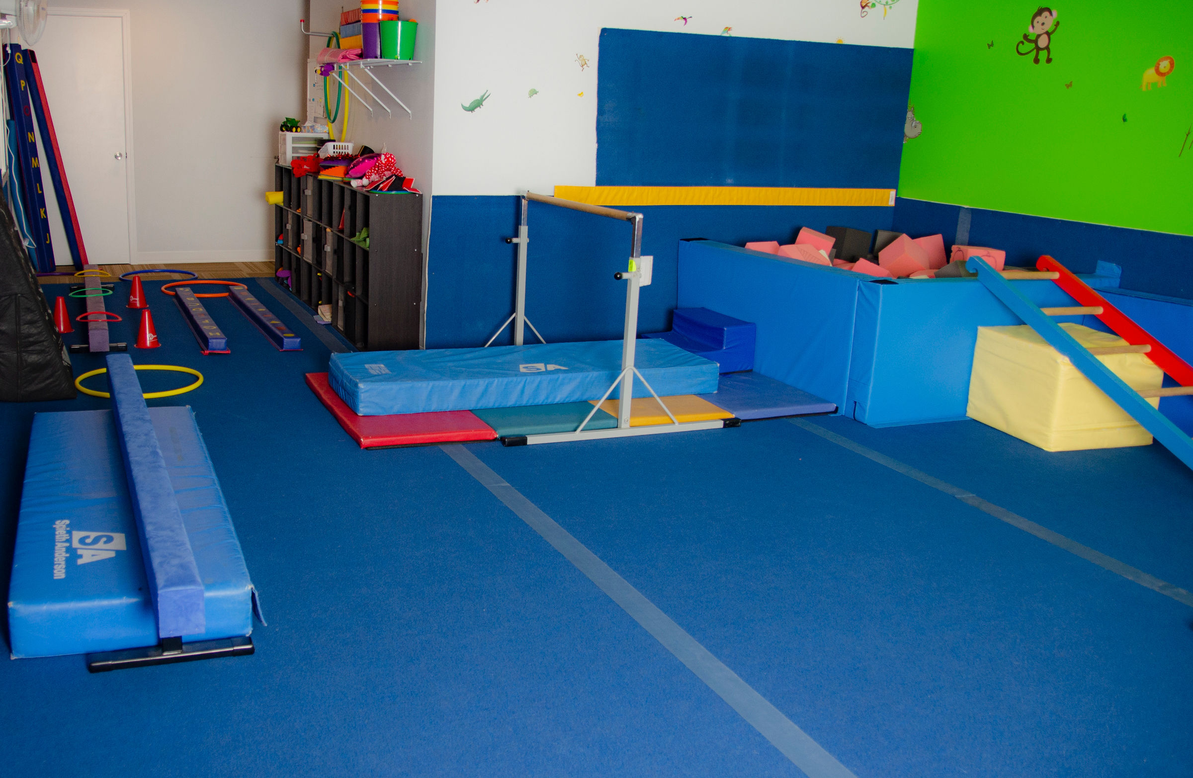 Preschool - 18 Months to 5 Years - NorthPointe Gymnastics